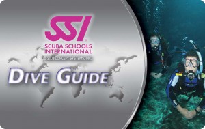 SSI - Dive Guide | Gotham Divers